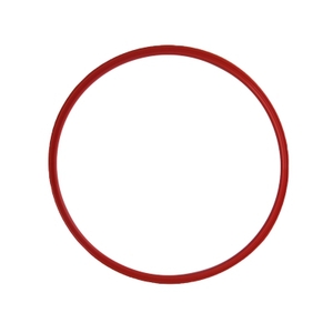 Fielding Training Aids | Cricket Express